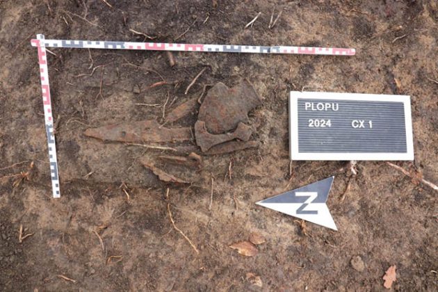 La Plopu au fost descoperite arme și unelte agricole din perioada ...